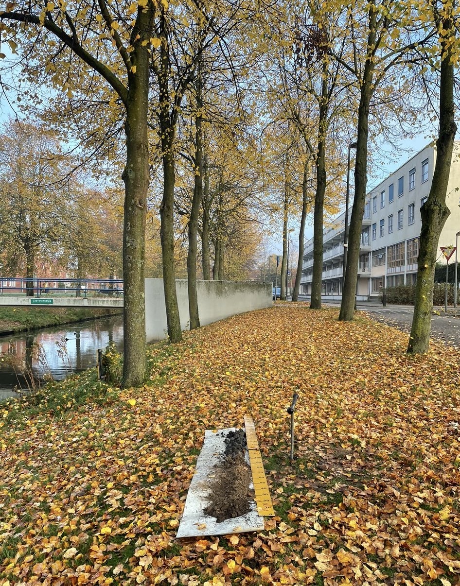 Groen en gezond in Almere Centrum - De Boominspecteurs