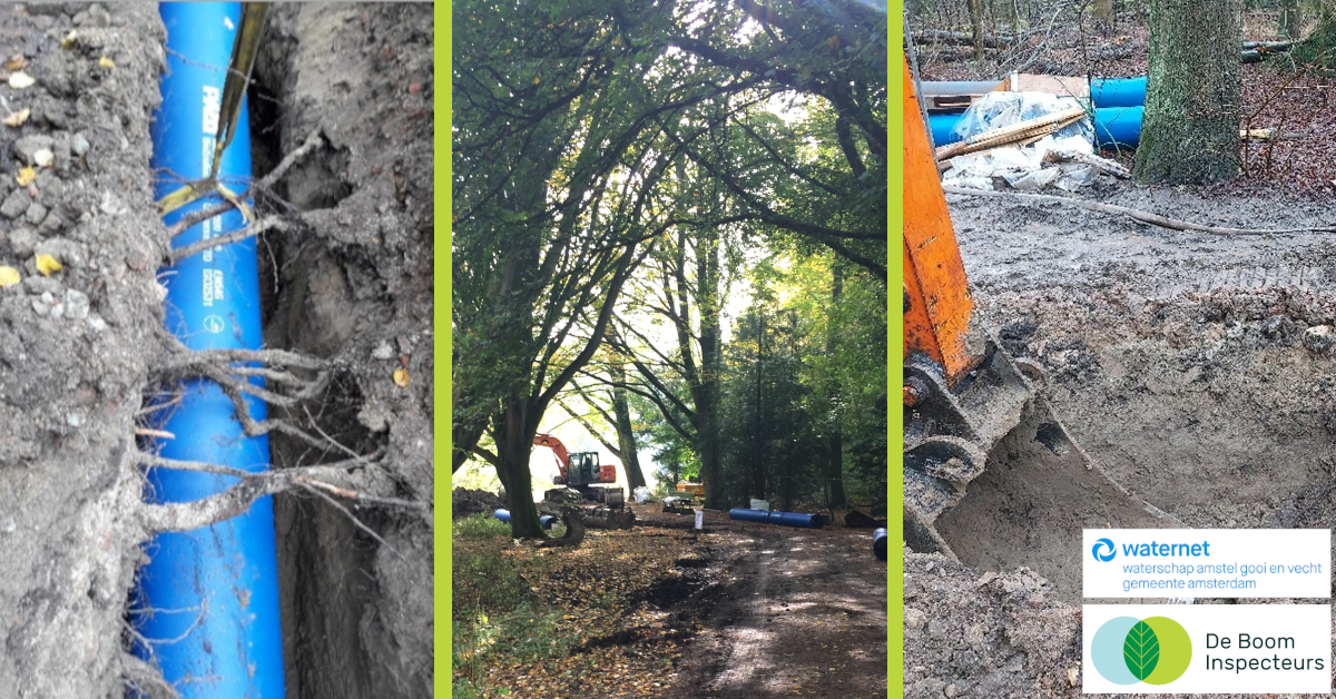 Samenwerking Waternet: project in het Amsterdamse Bos - De Boominspecteurs